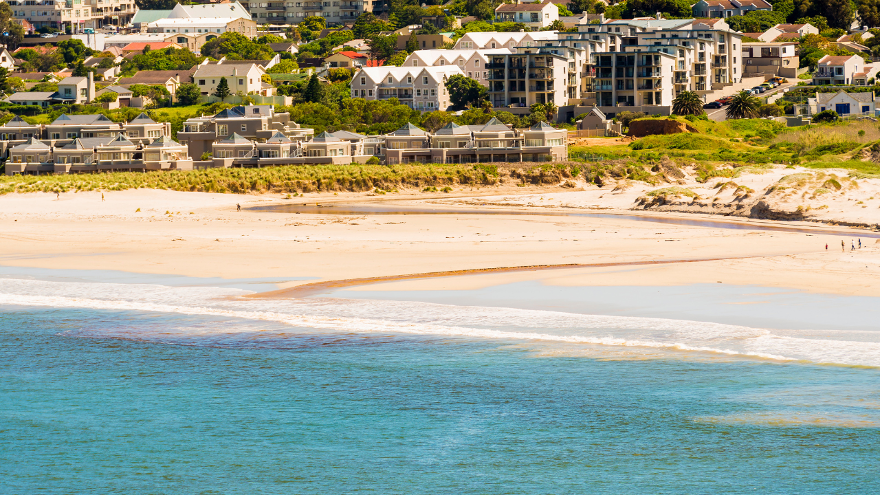 The Best Family-Friendly Activities in Hout Bay - Circe Launches - Seal ...